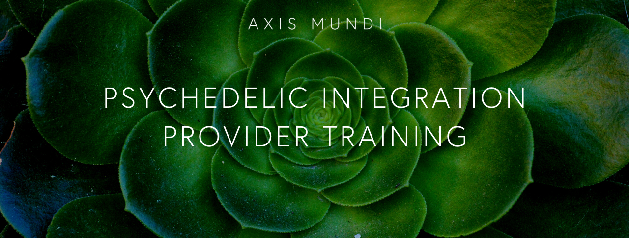 Psychedelic Integration Provider Training (Self-Study)
