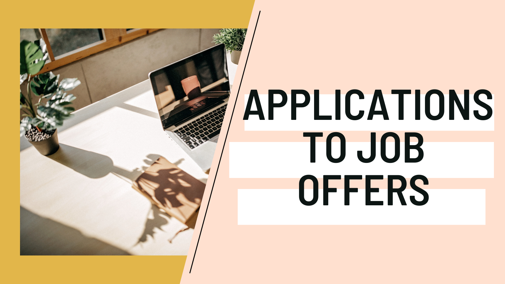 Applications to Job Offers Audit (Birthday Week Flash Sale!)