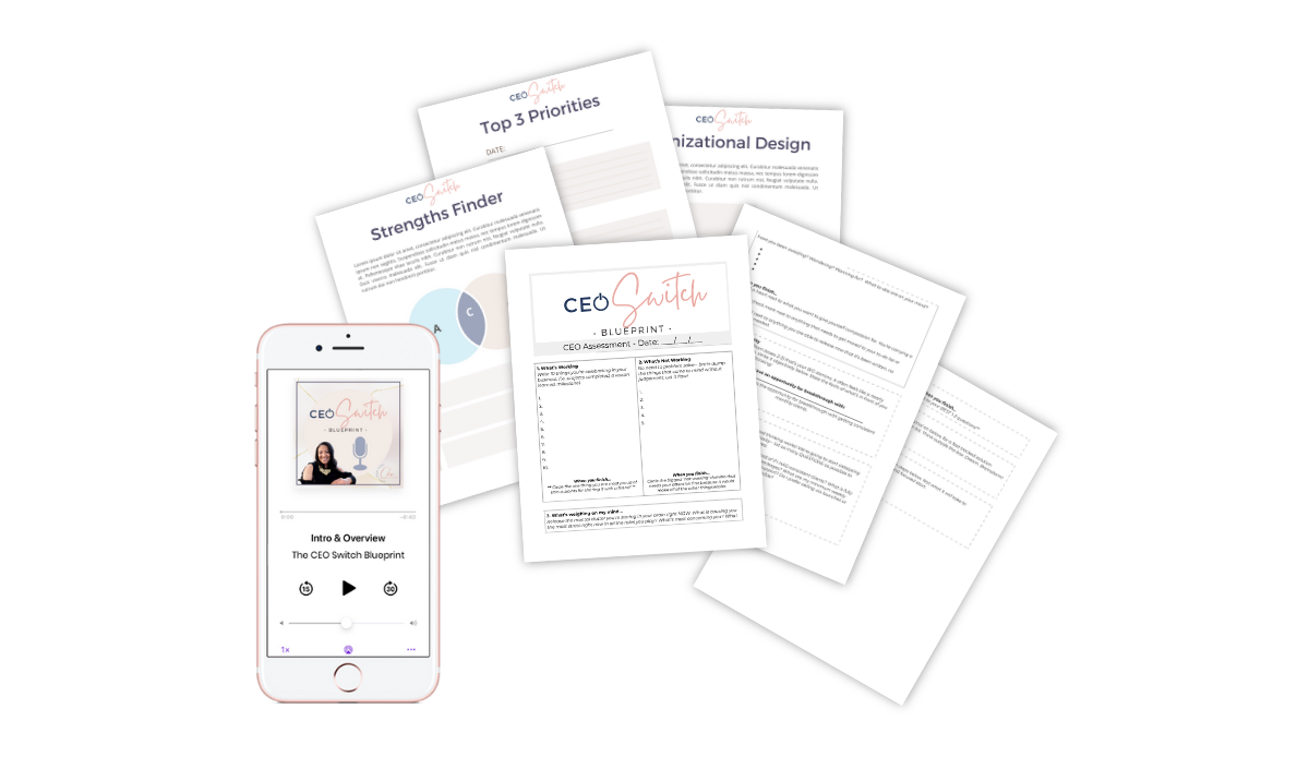 CEO Switch Blueprint