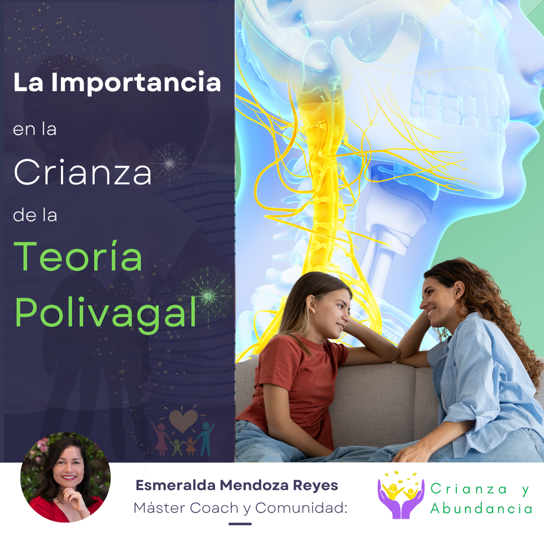 La Importancia en la Crianza de la Teoría Polivagal