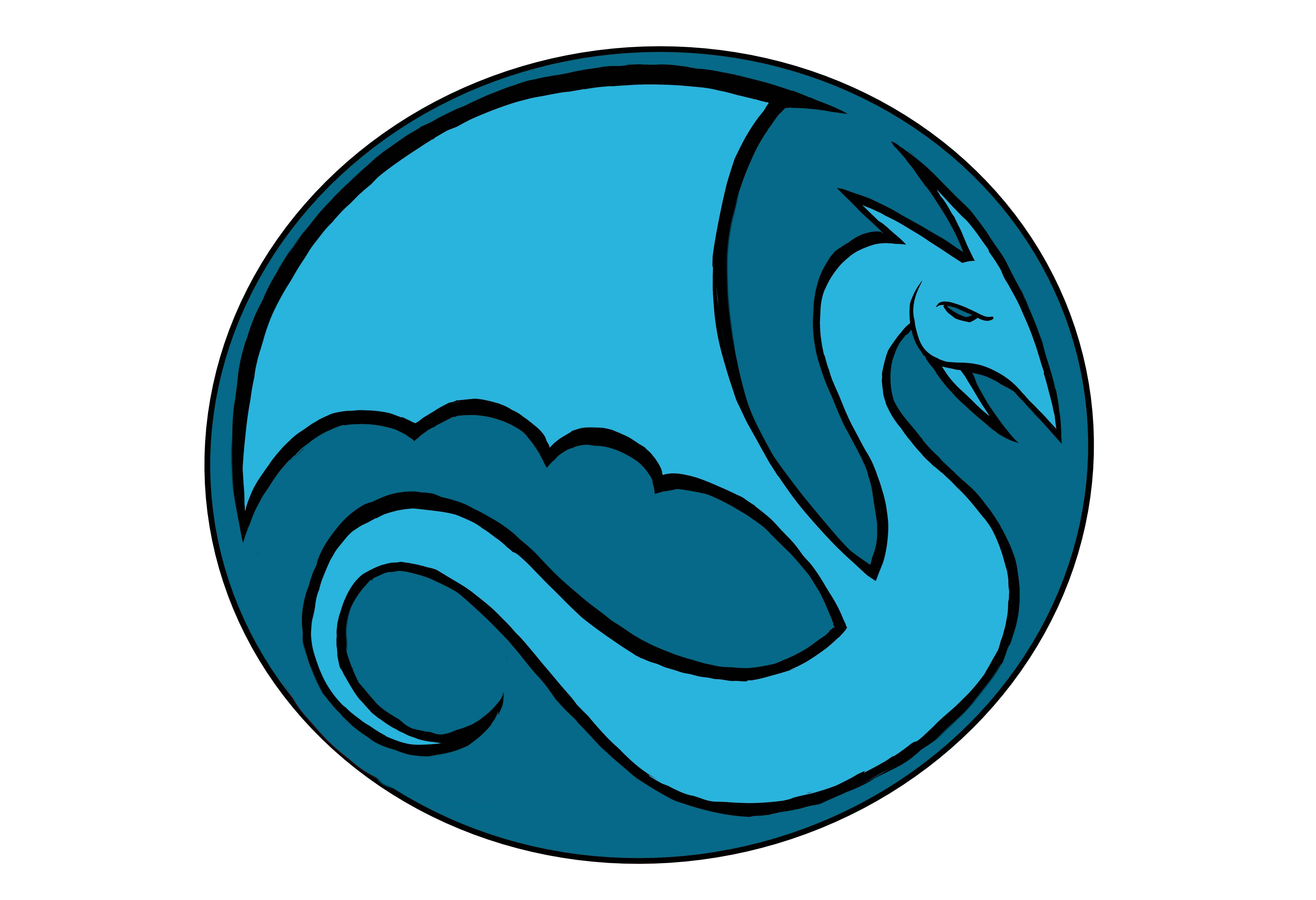 Dragon Training Grounds LLC