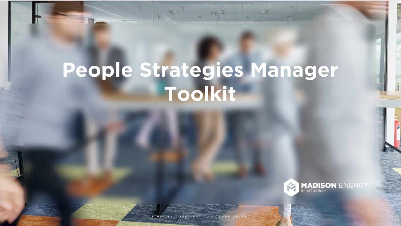 MEI Manager Toolkit People Strategies