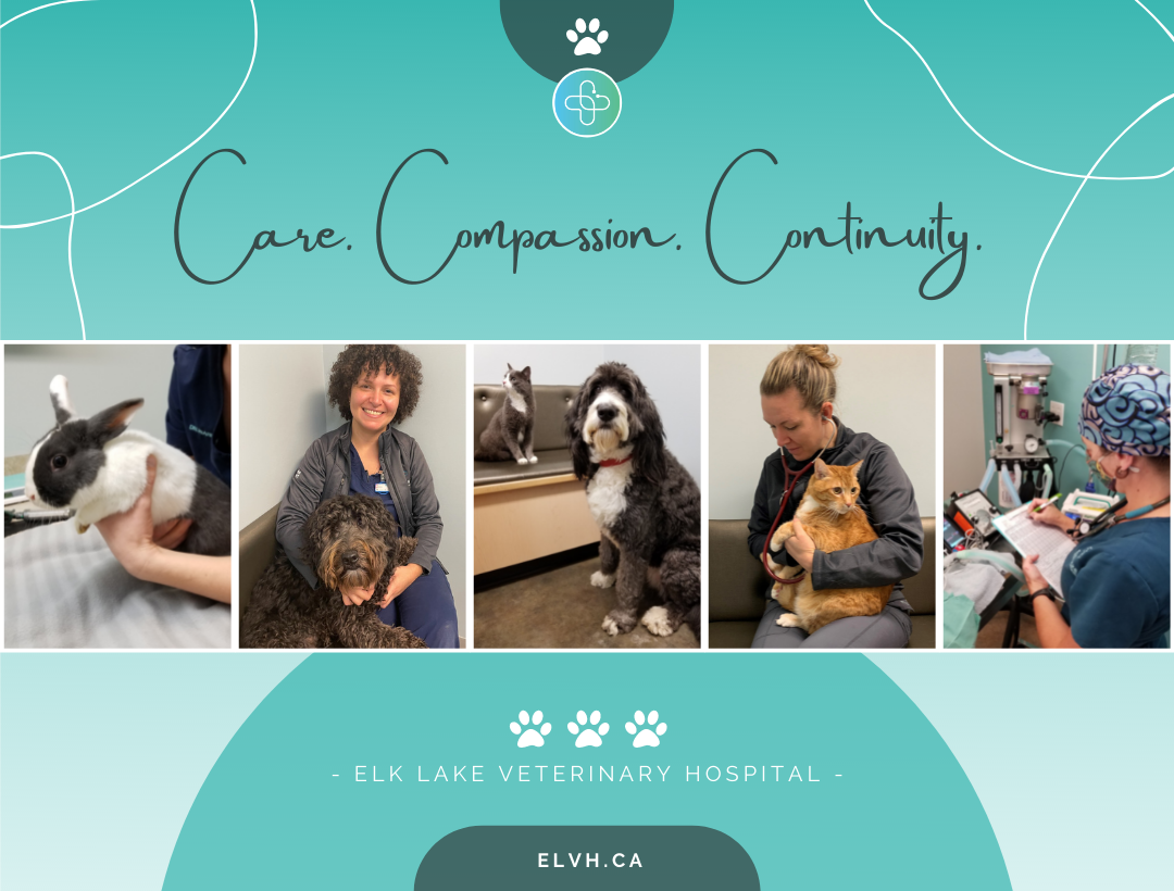 Elk Lake Veterinary Hospital