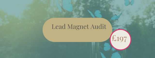 Lead Magnet Audit