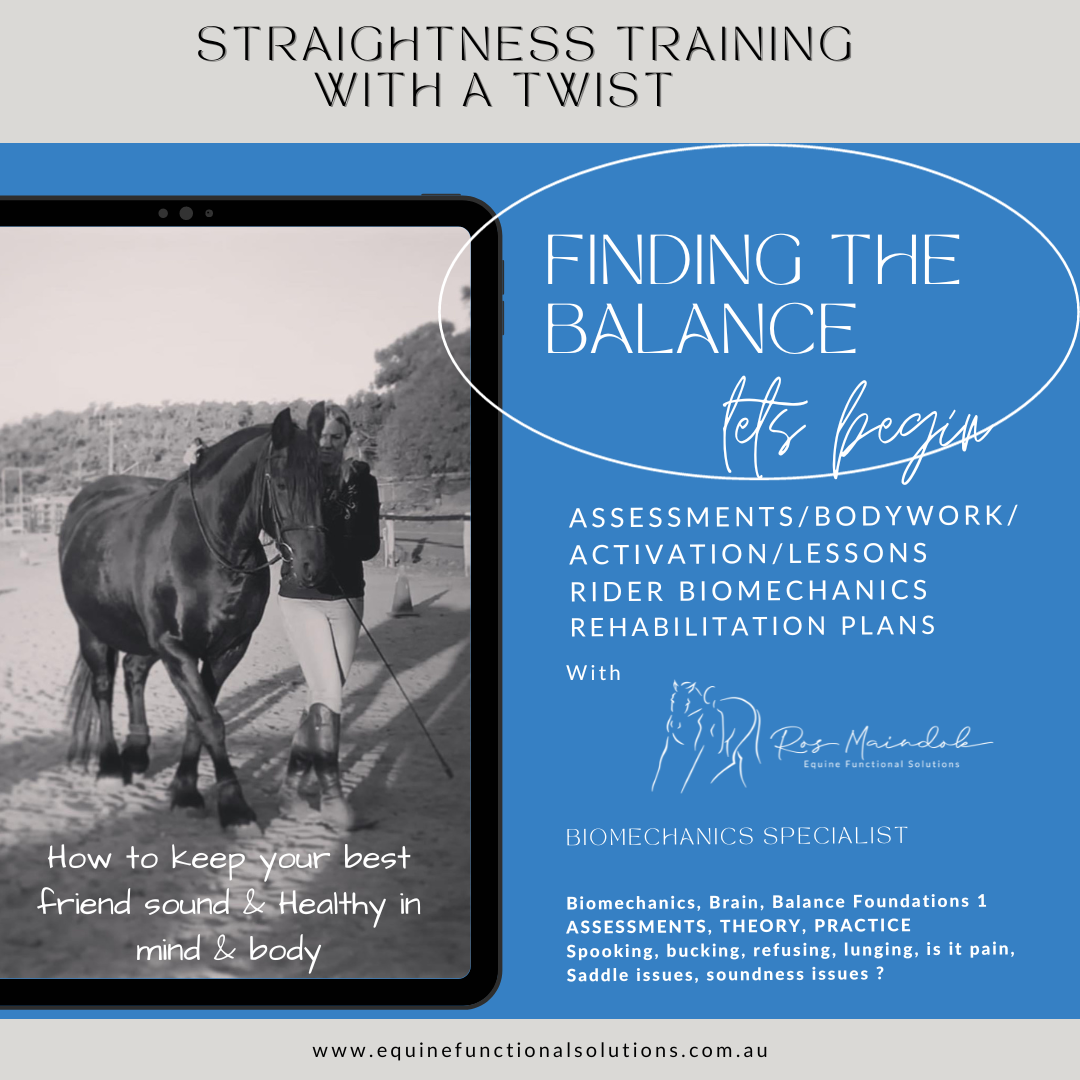Introduction to Equine Functional Solutions BBBB EMT Presentation