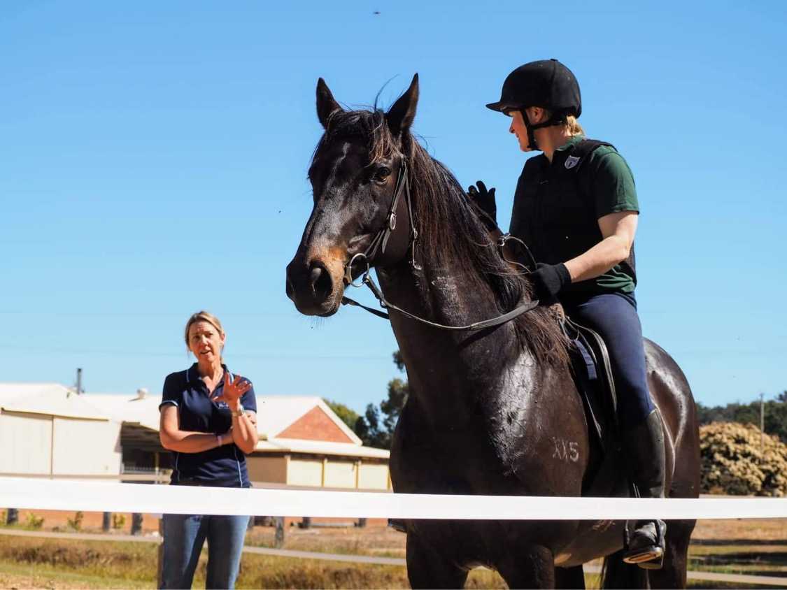 Equine Functional Solutions