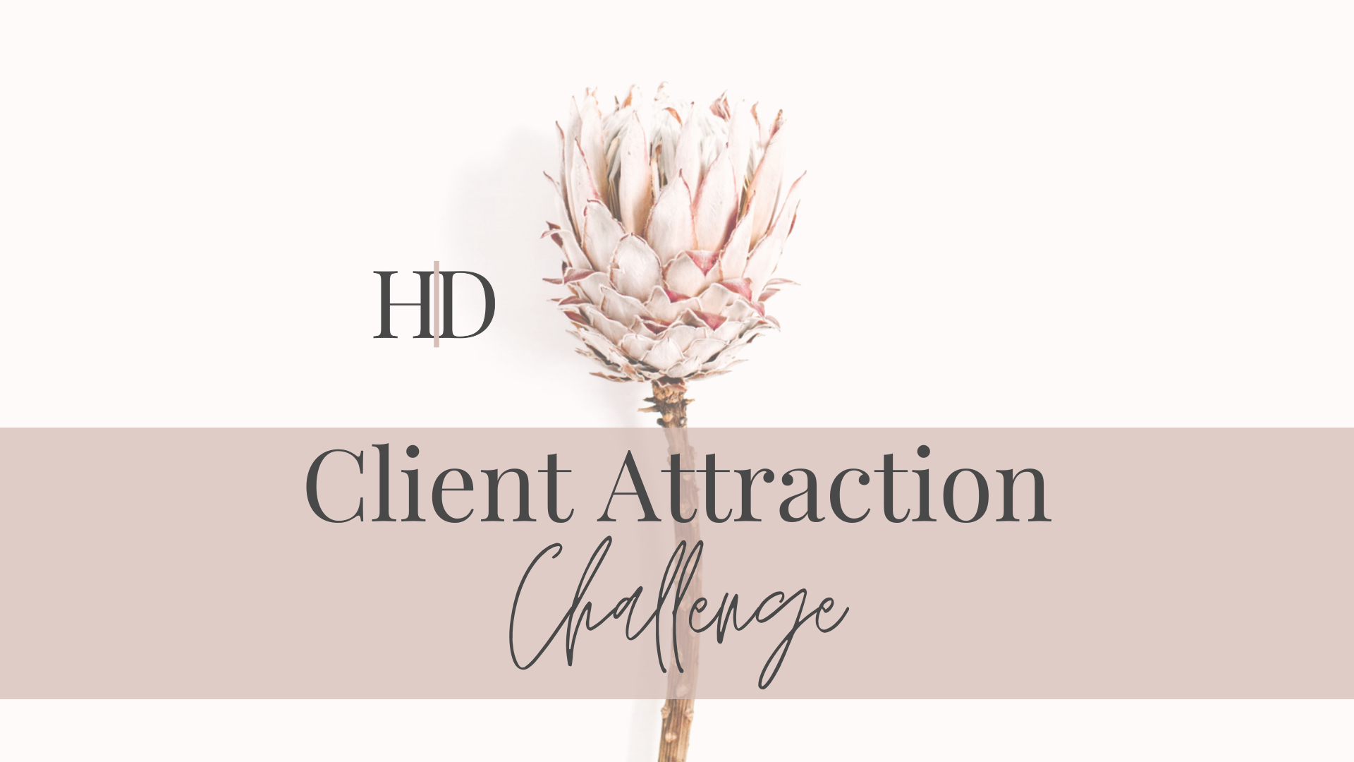 Client Attraction Challenge