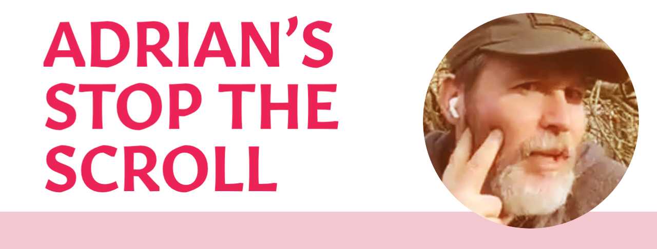 Adrian's Stop the Scroll