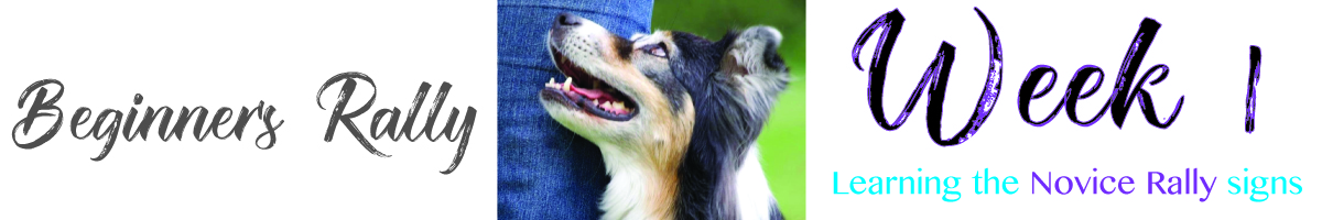 Beginners Rally - Learning all about Rally Obedience Workshop