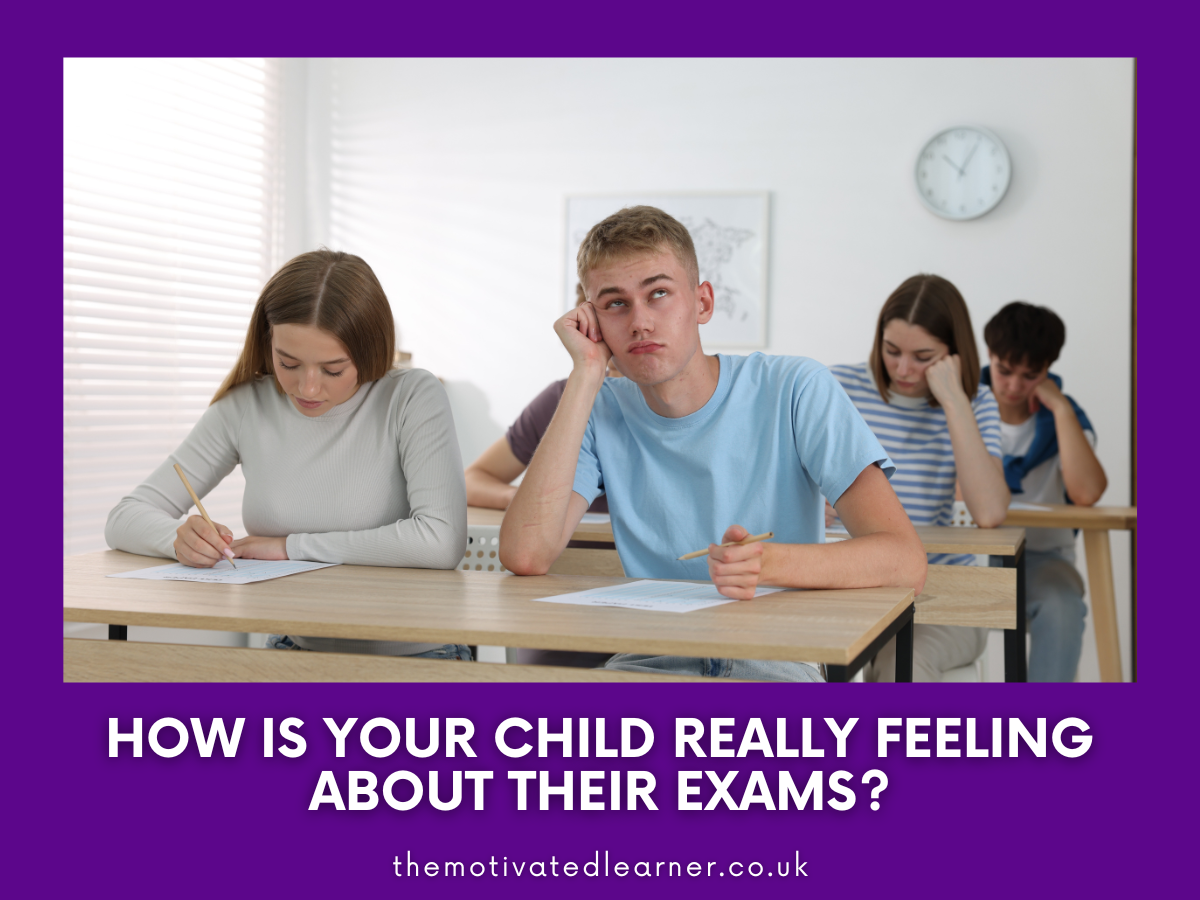 How Is Your Child Really Feeling About Their Exams?