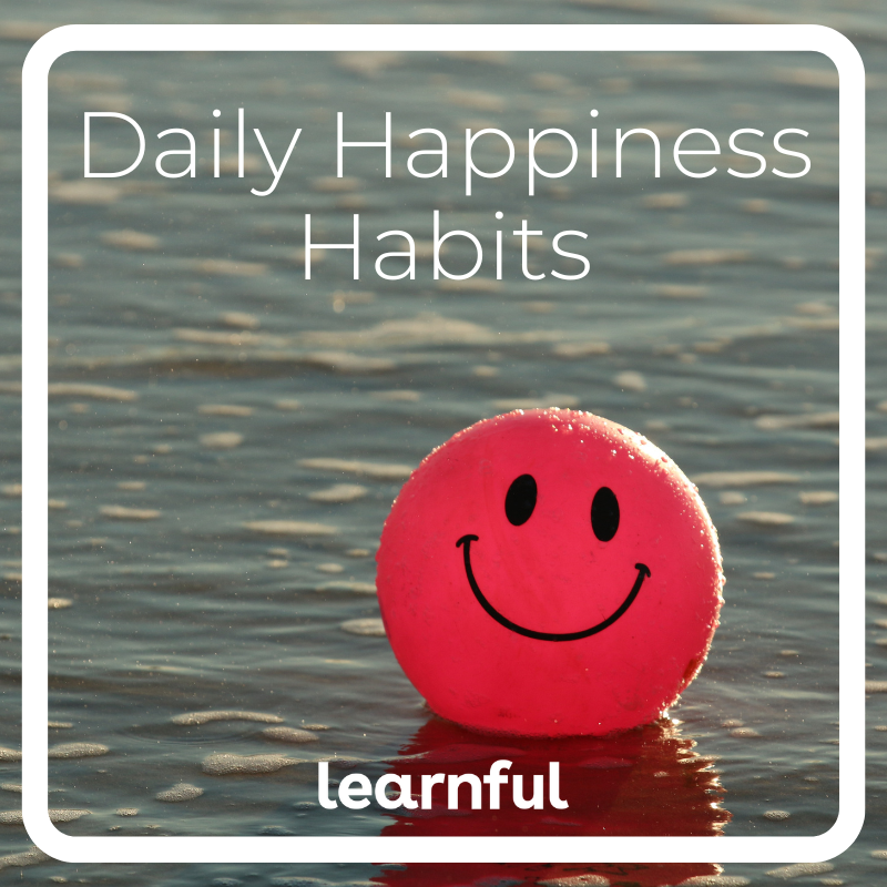 COPY: Learnful Schools