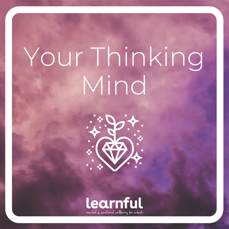 COPY: Learnful Schools