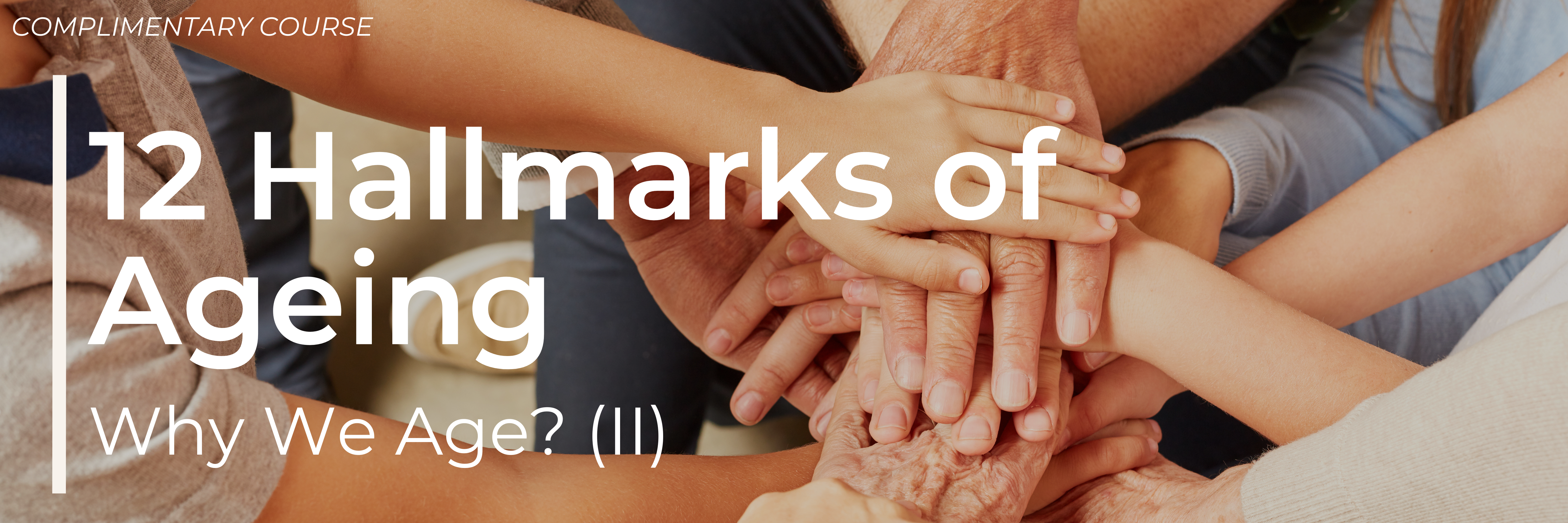 Levitas Academy medical Training Education