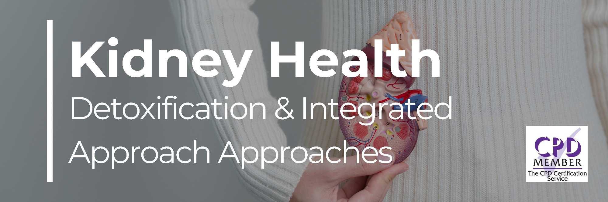 Kidney Health: Detoxification & Integrated Approaches Course | Enhance ...