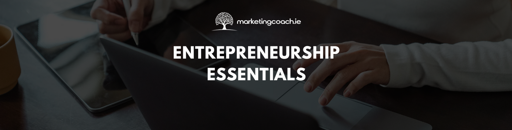 Entrepreneurship Essentials