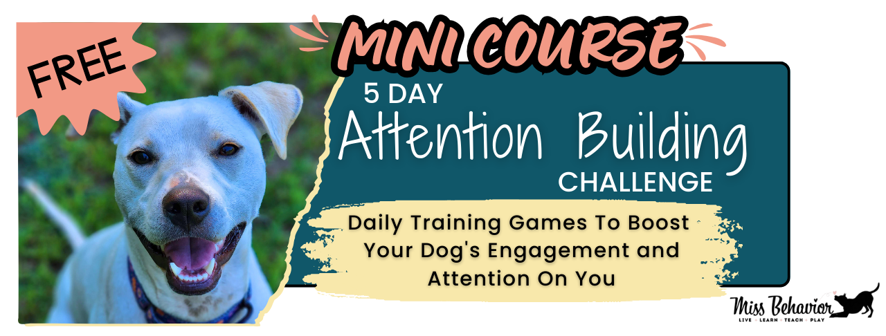 Miss Behavior's Virtual Learning Center