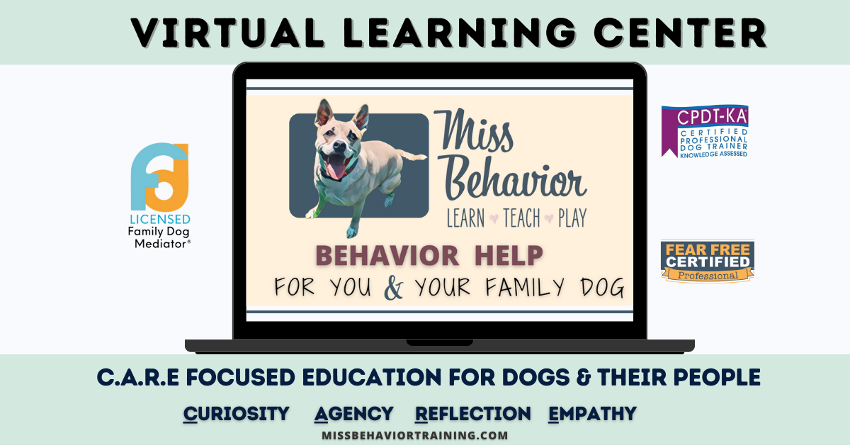 Miss Behavior's Virtual Learning Center