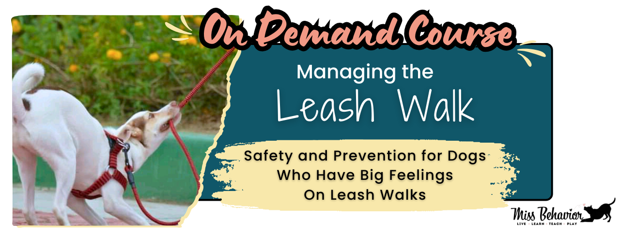 Managing The Leash Walk: Pro-Active Techniques for Dogs with Big ...