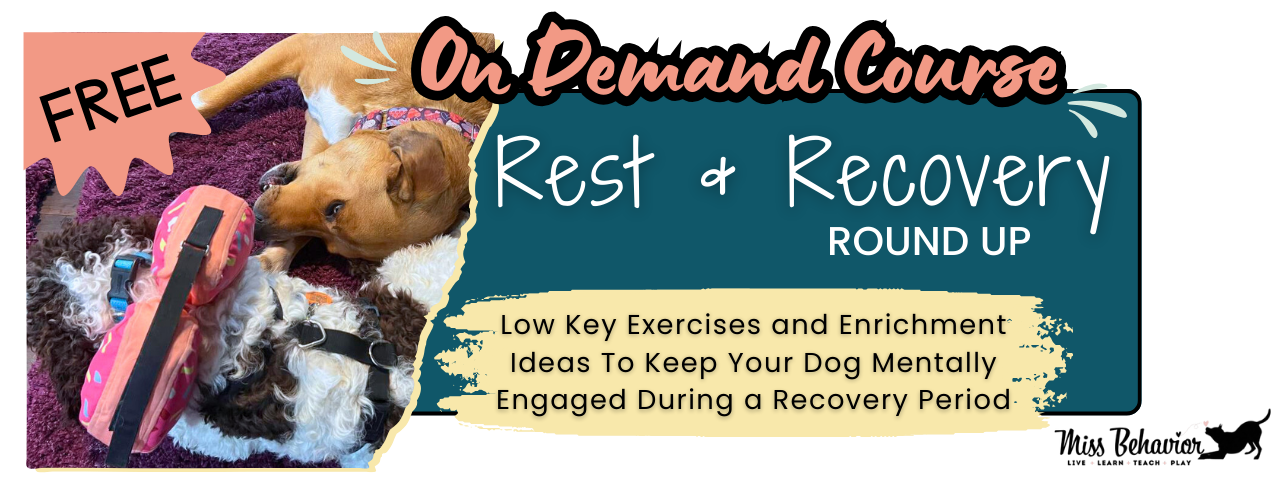 Rest and Recovery Round-Up
