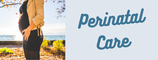 Perinatal Nursing Care