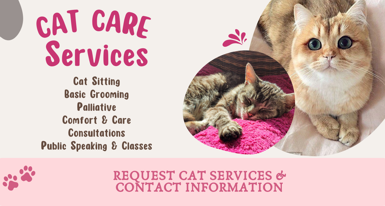 Contact Me - Request Services