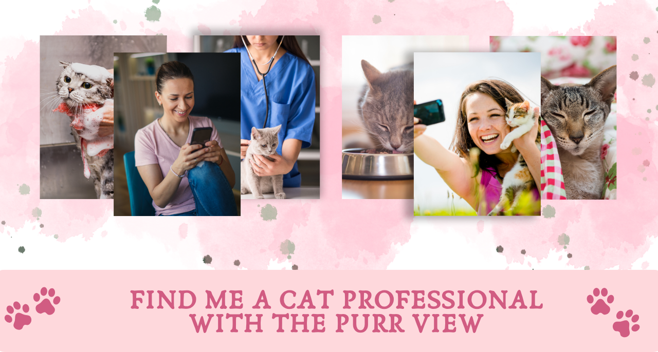 What's Purr View