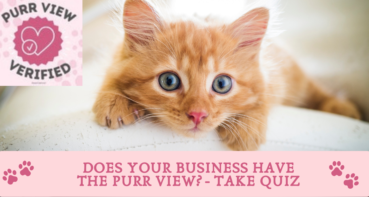 Purr View Cat Sitting & Community 😻