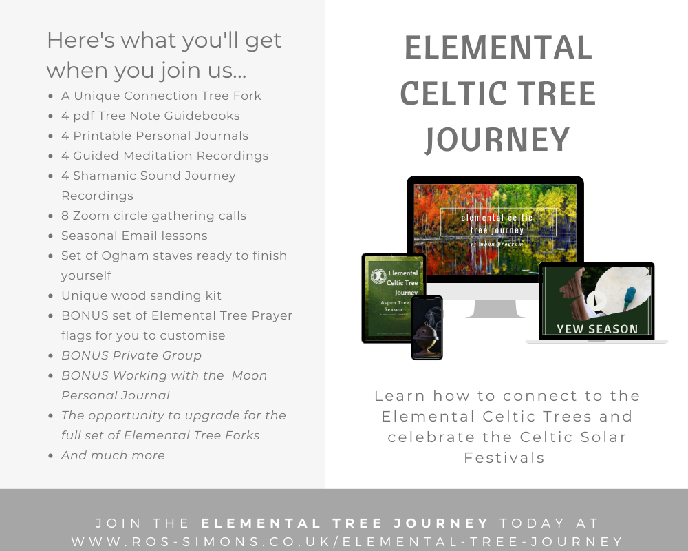 Elemental Tree Journey