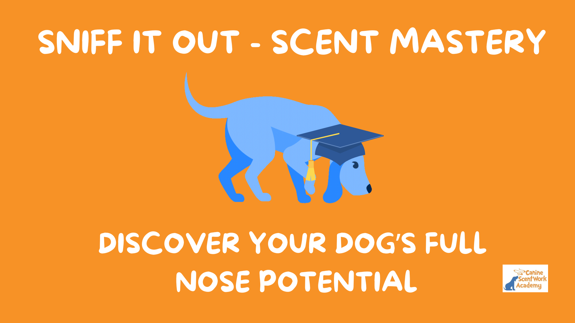 Canine Scent Work - Training with Kong