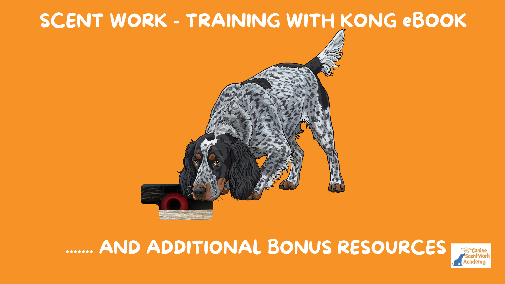 Canine Scent Work - Training with Kong