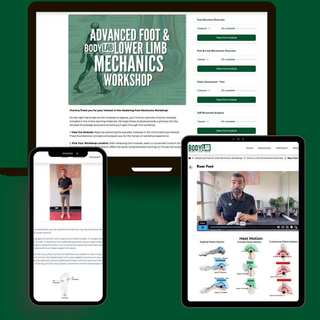 Advanced Foot and Lower Limb Mechanics Workshop