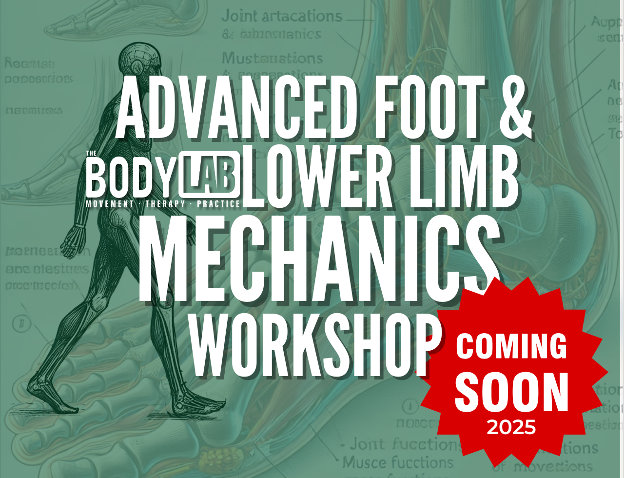 Advanced Foot and Lower Limb Mechanics Workshop