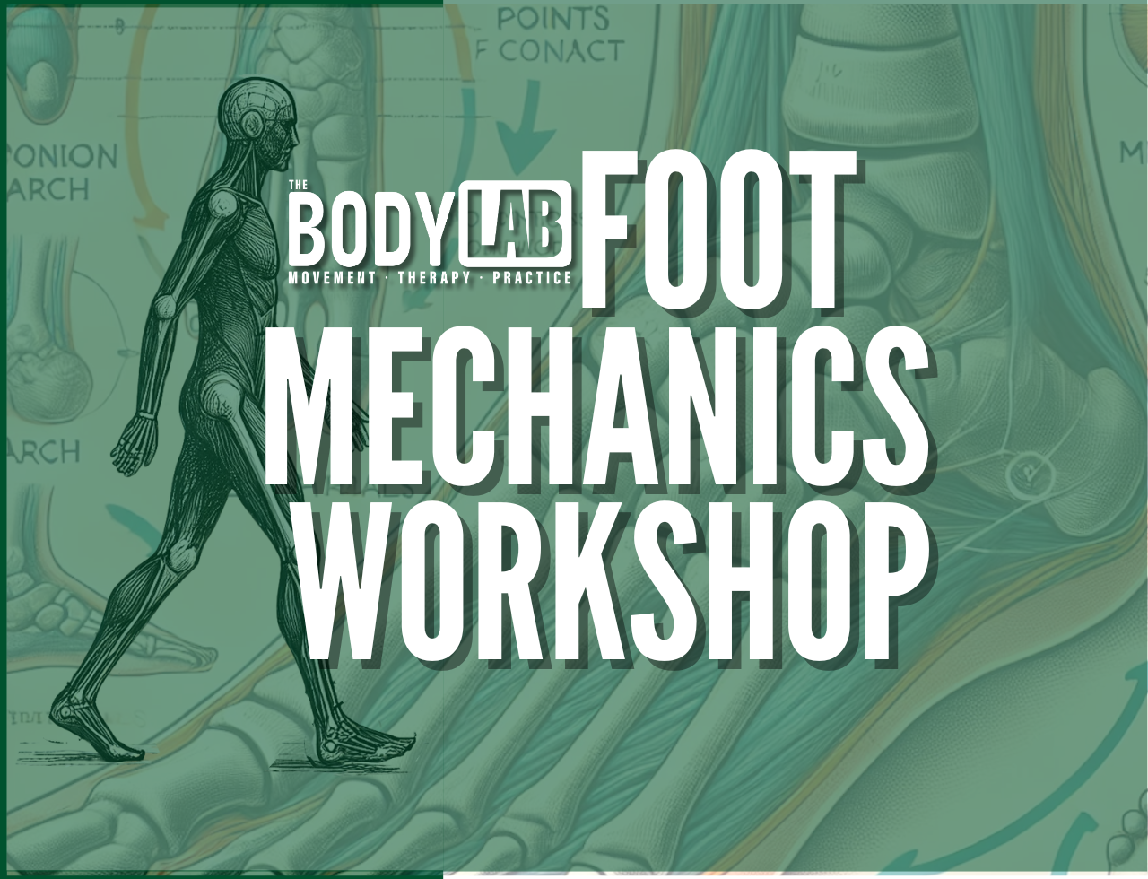 Mastering Foot Mechanics Workshop | Enhance Foot Biomechanics