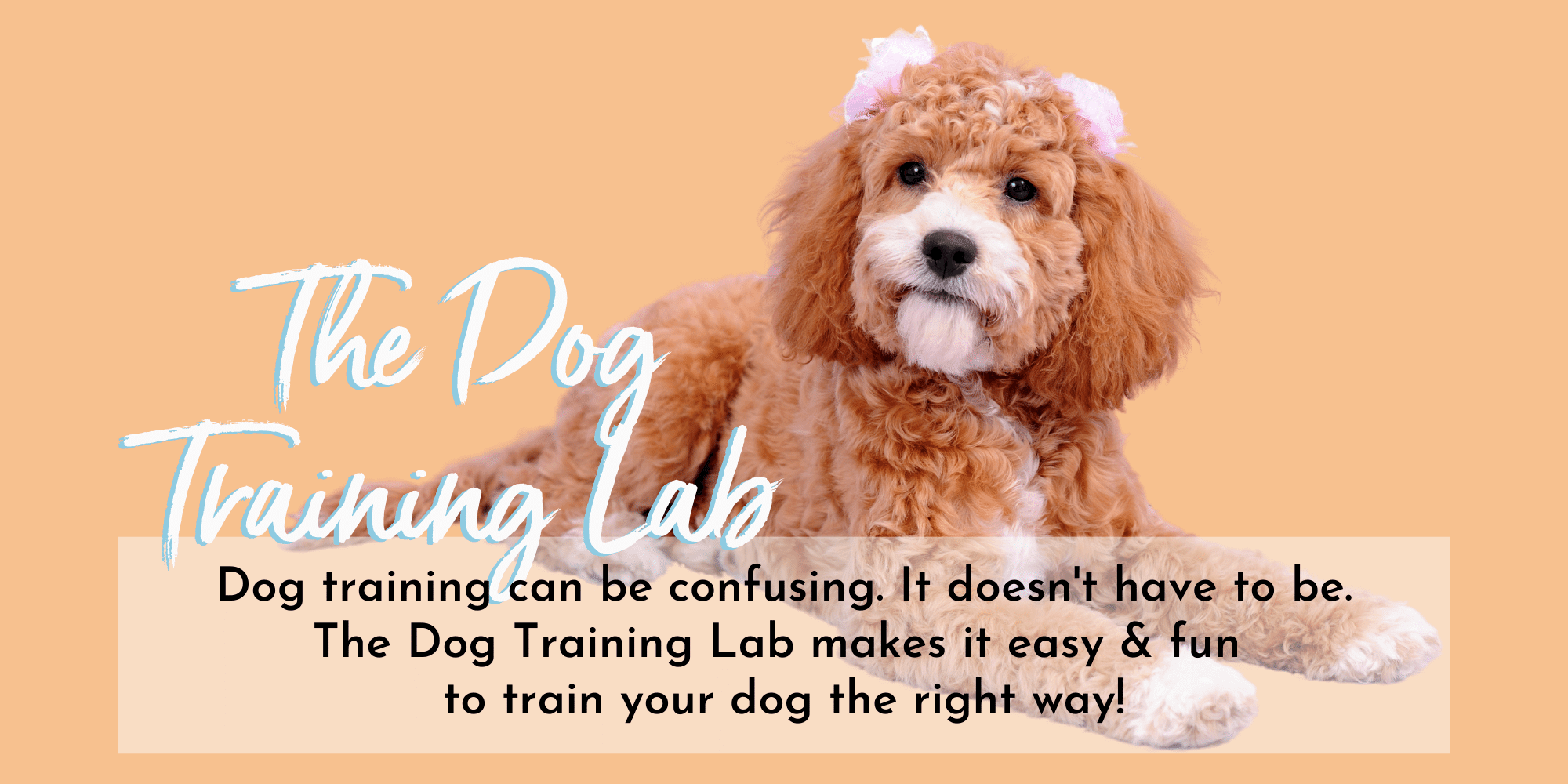 The Dog Training Lab