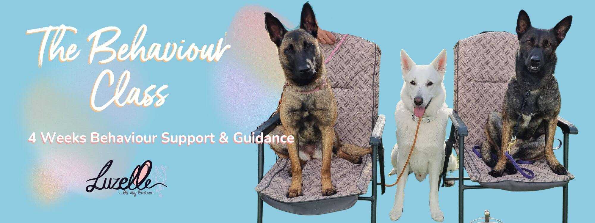 4-week Behaviour Group Classes