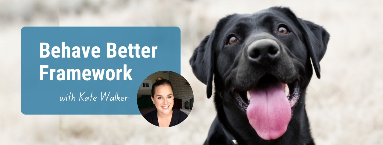 Behave Better Framework