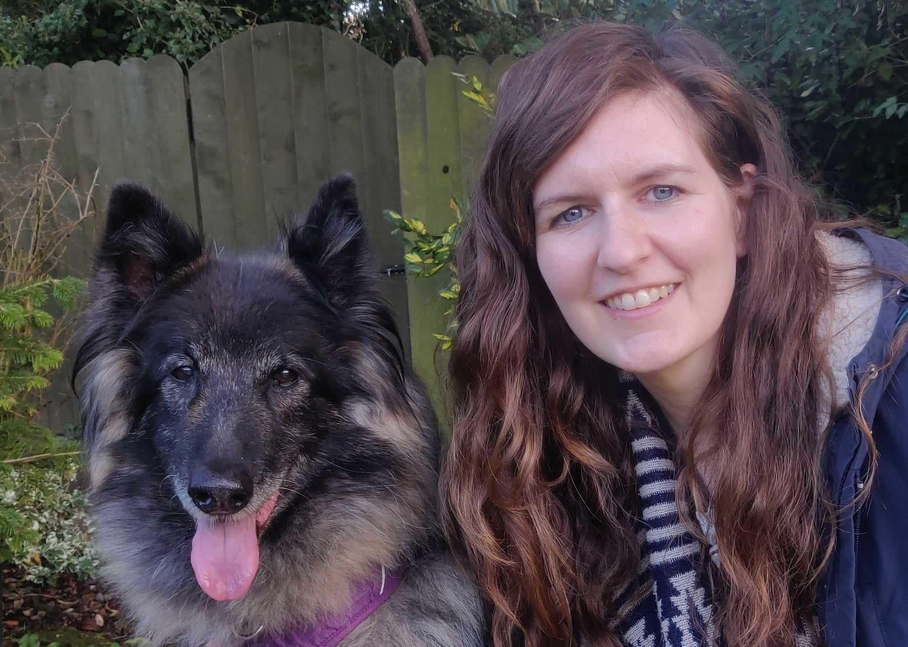 We Teach Pets Courses